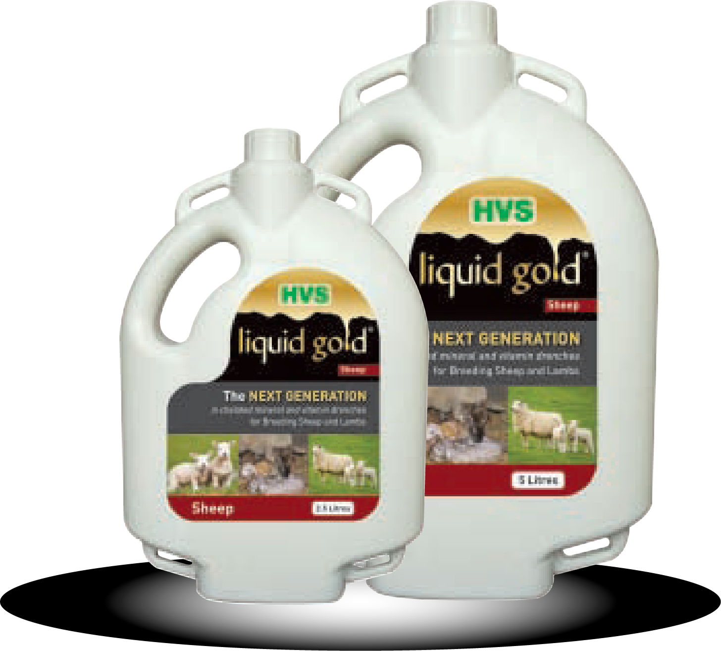 HVS Liquid Gold Sheep - Unlock your flocks full potential - HVS Liquid Gold